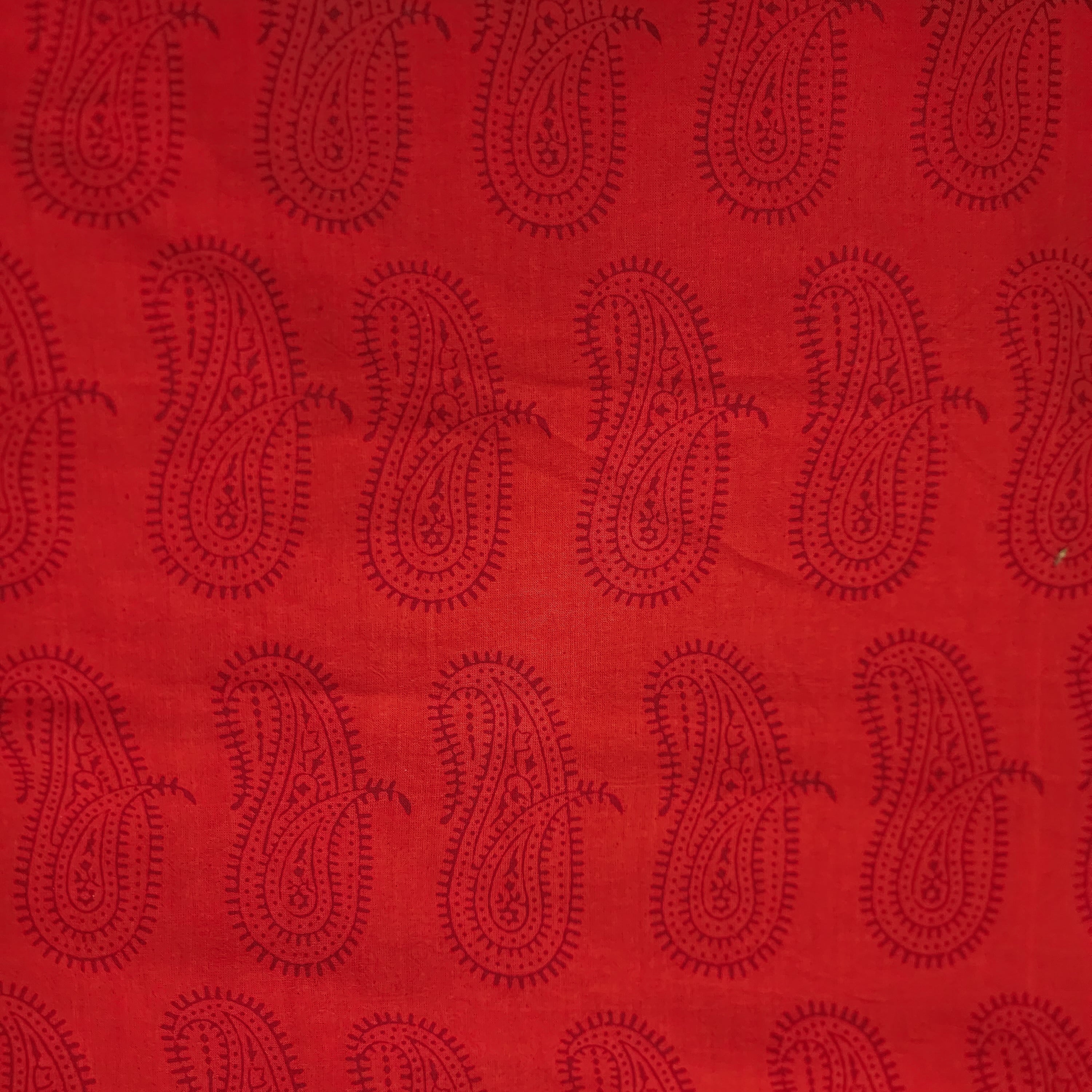 Pre-Cut 2 Meter Pure Cotton Gamthi Orange With Red Paisley Hand Block – Sanskruti