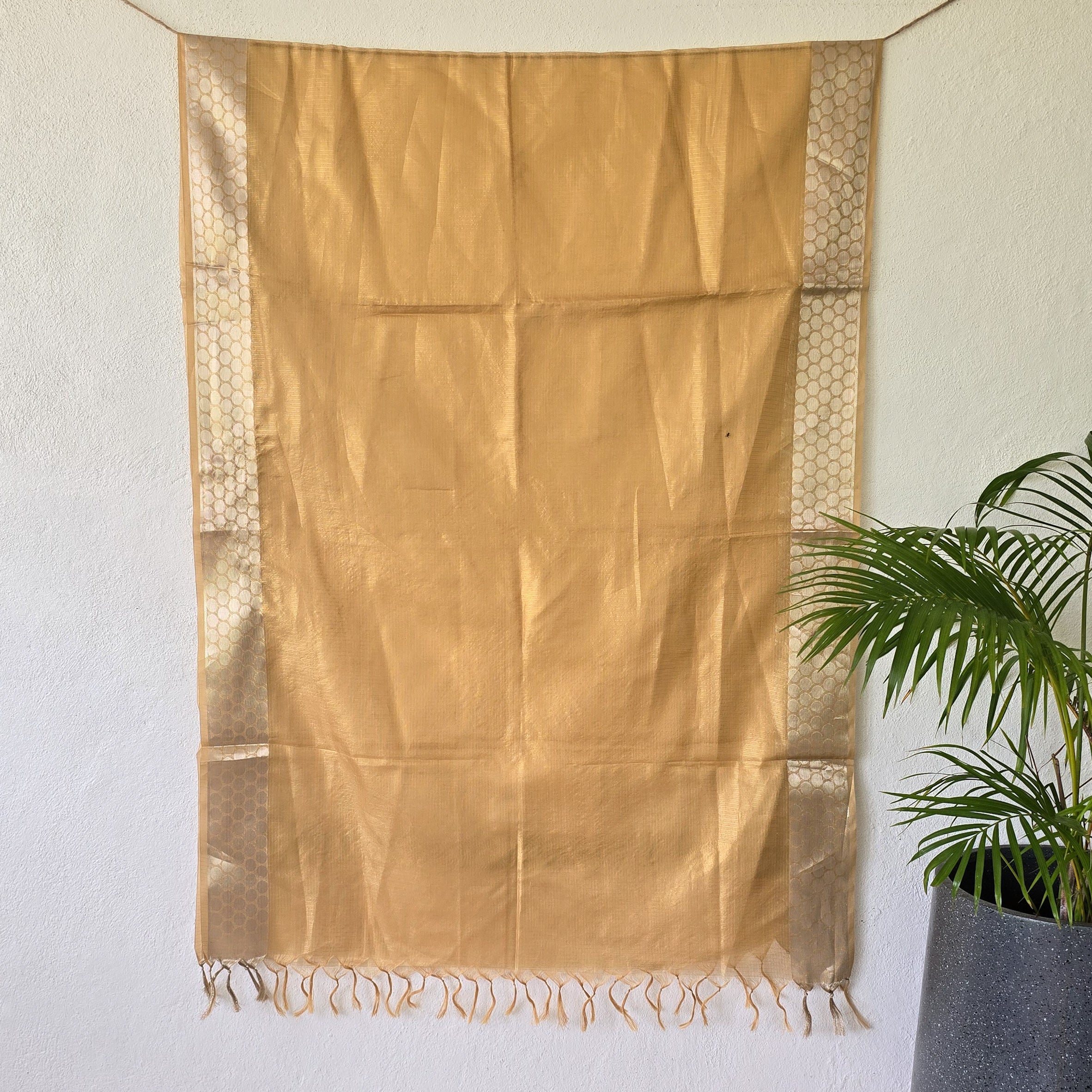 SITARA - Golden With Border Tissue Kota Dupatta – Sanskruti