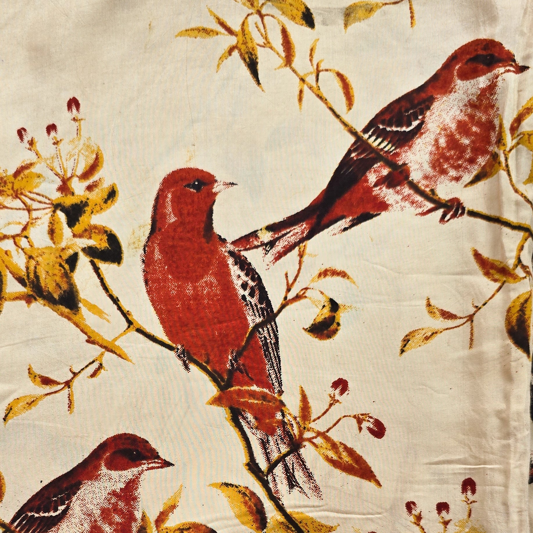 Modal Silk Kalamkari Cream With Rust Red Sparrow Birds Screen Print Fa ...