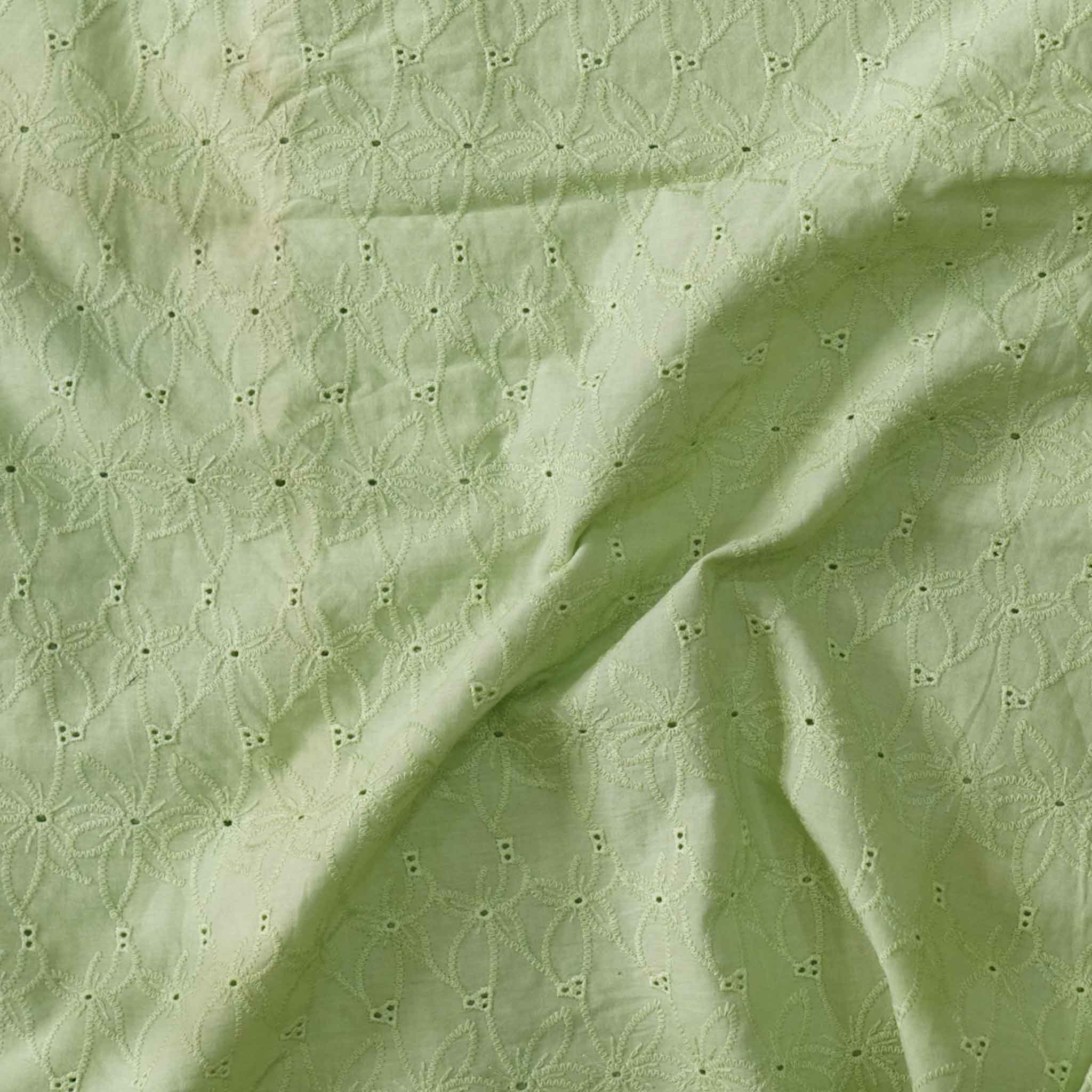 Precut 1 meter (Width 56 inches) Pure Cotton Hakoba Pastel Green With ...