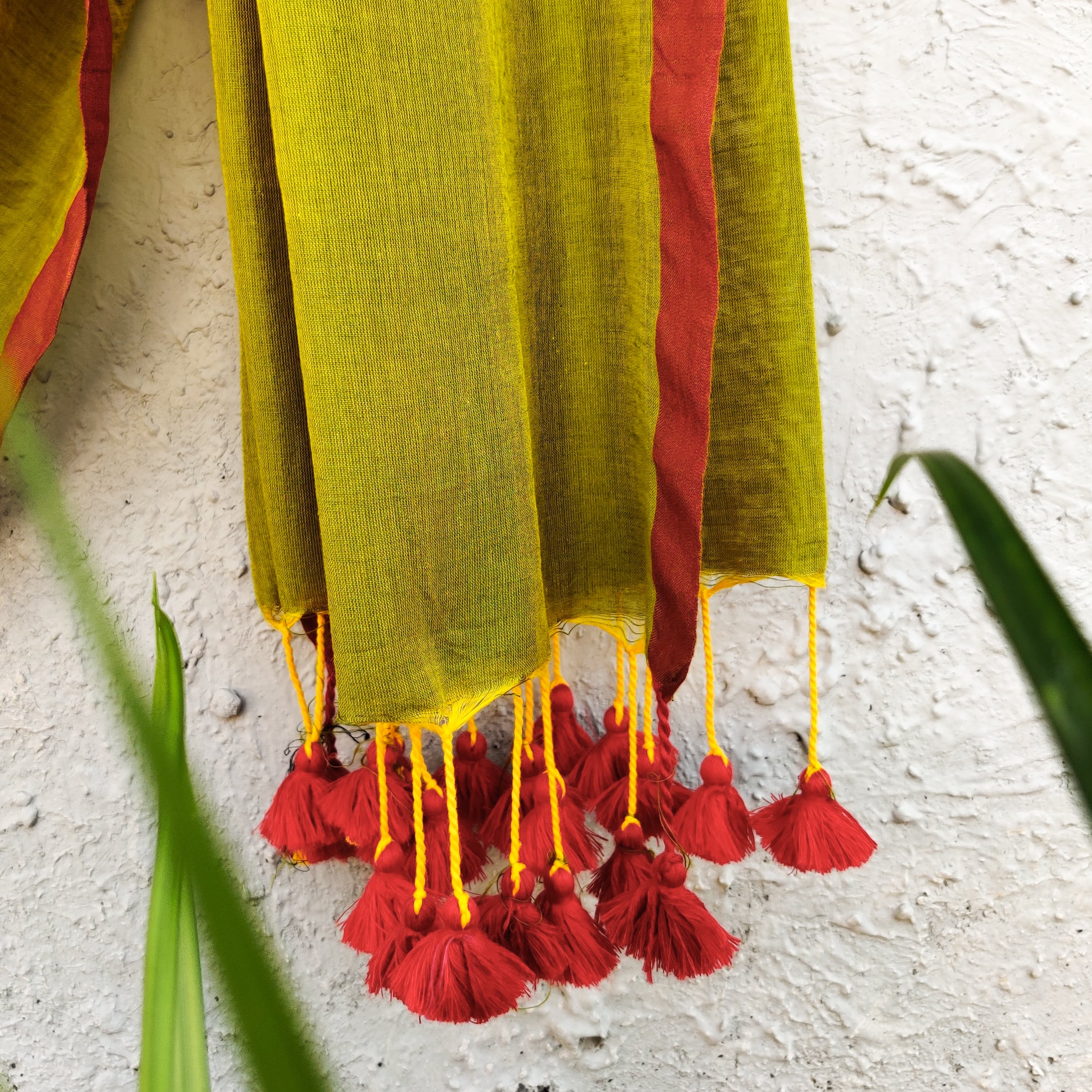 PIKU - Green Saree With Red Border – Sanskruti