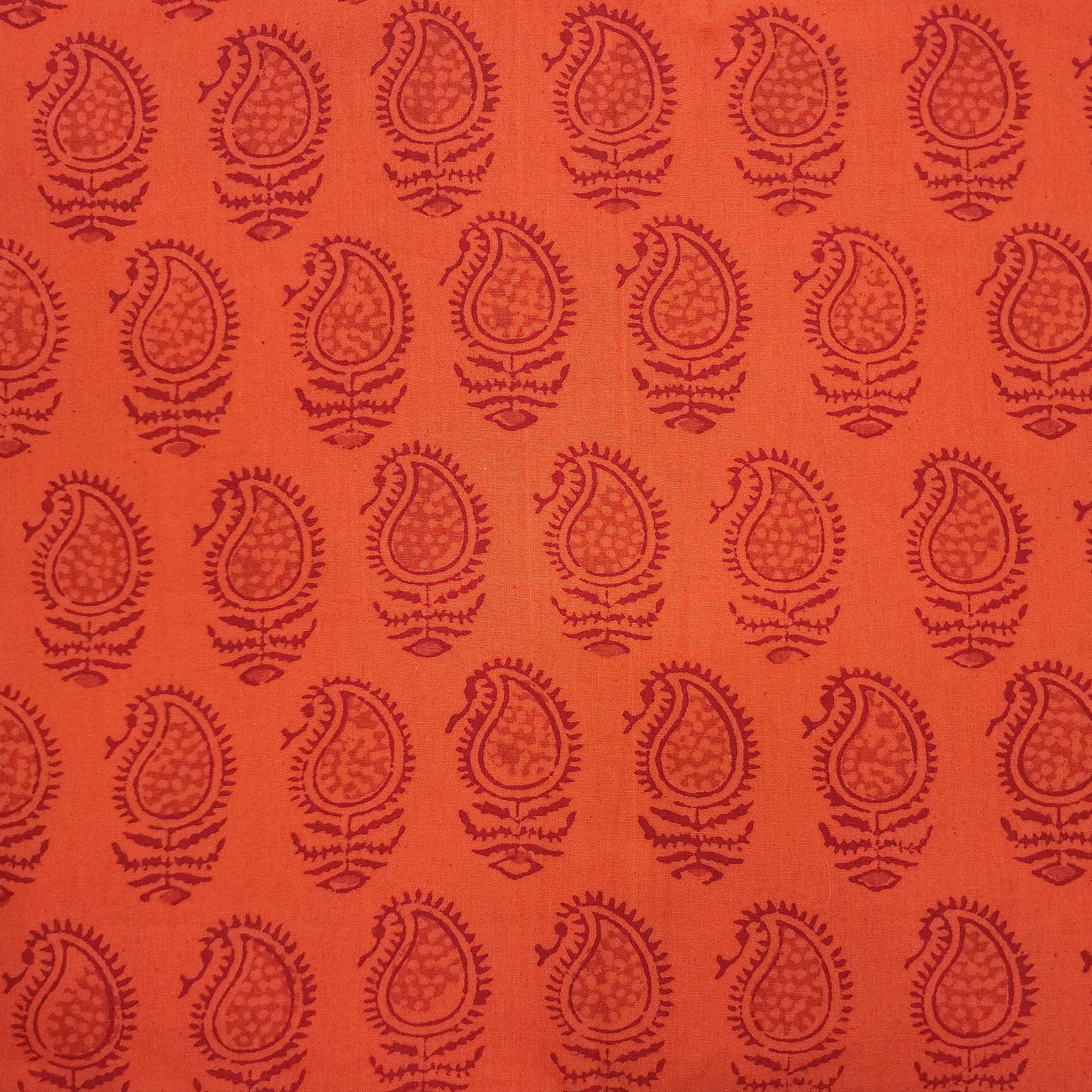 Pure Cotton Gamthi Orange With Red Kairi Motifs Border Hand Block Prin ...